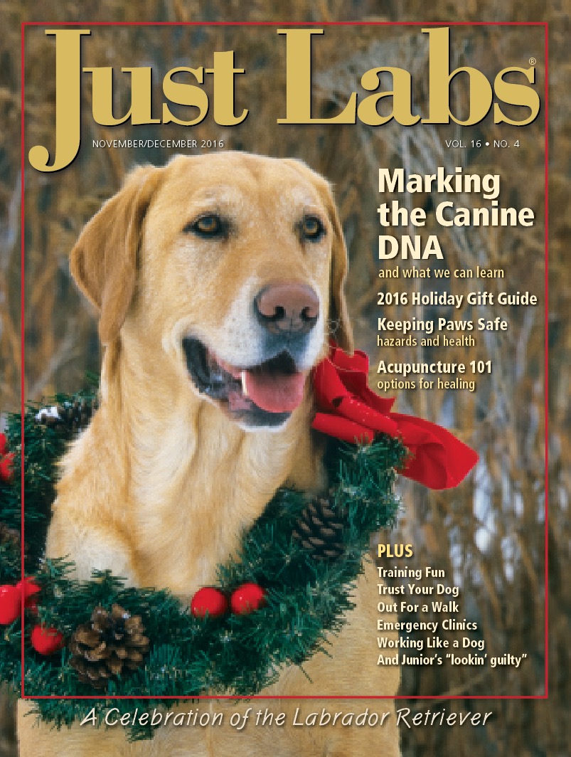 Coming Soon: Vol. 16 • No. 4 - Just Labs Magazine