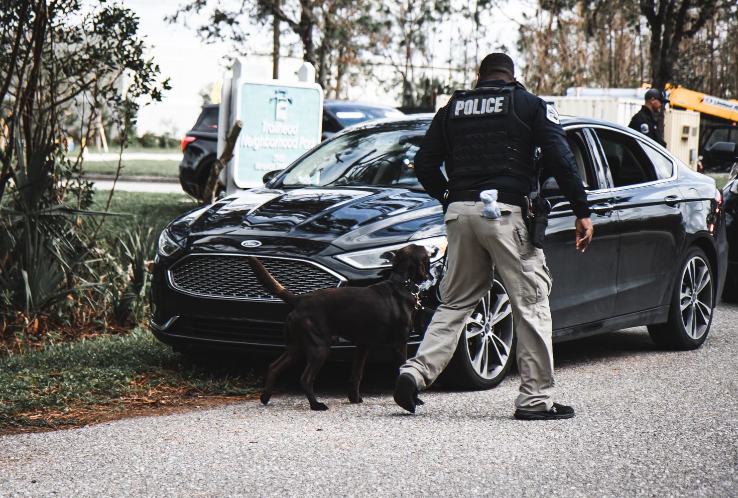 In Their Debt: K-9 from Ukraine - Just Labs Magazine