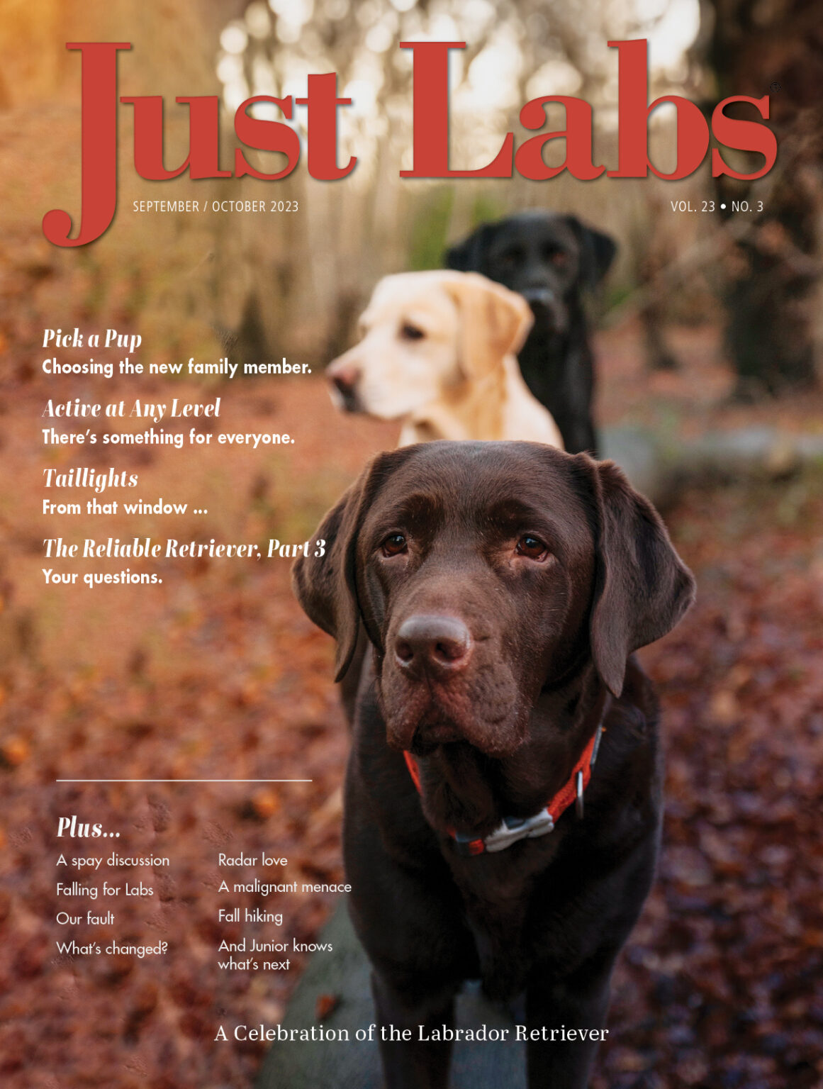 September/October 2023 - Just Labs Magazine