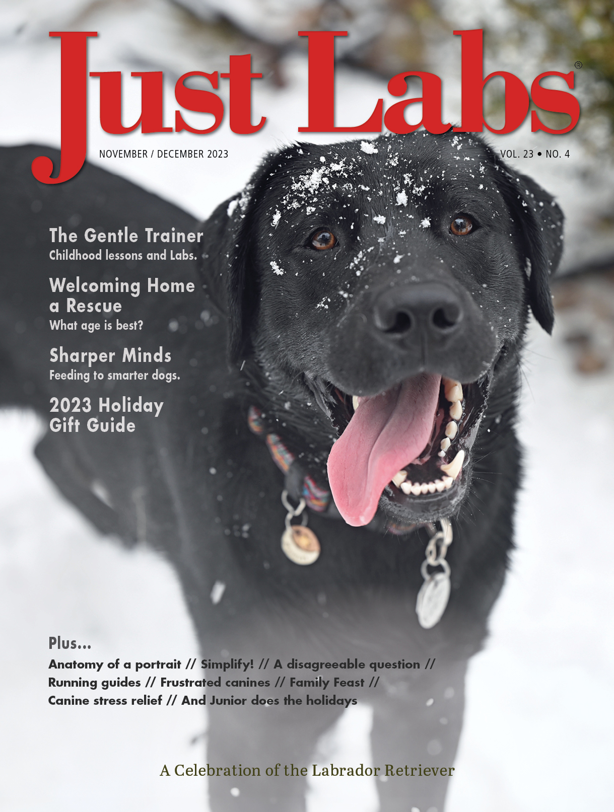 Home - Just Labs Magazine