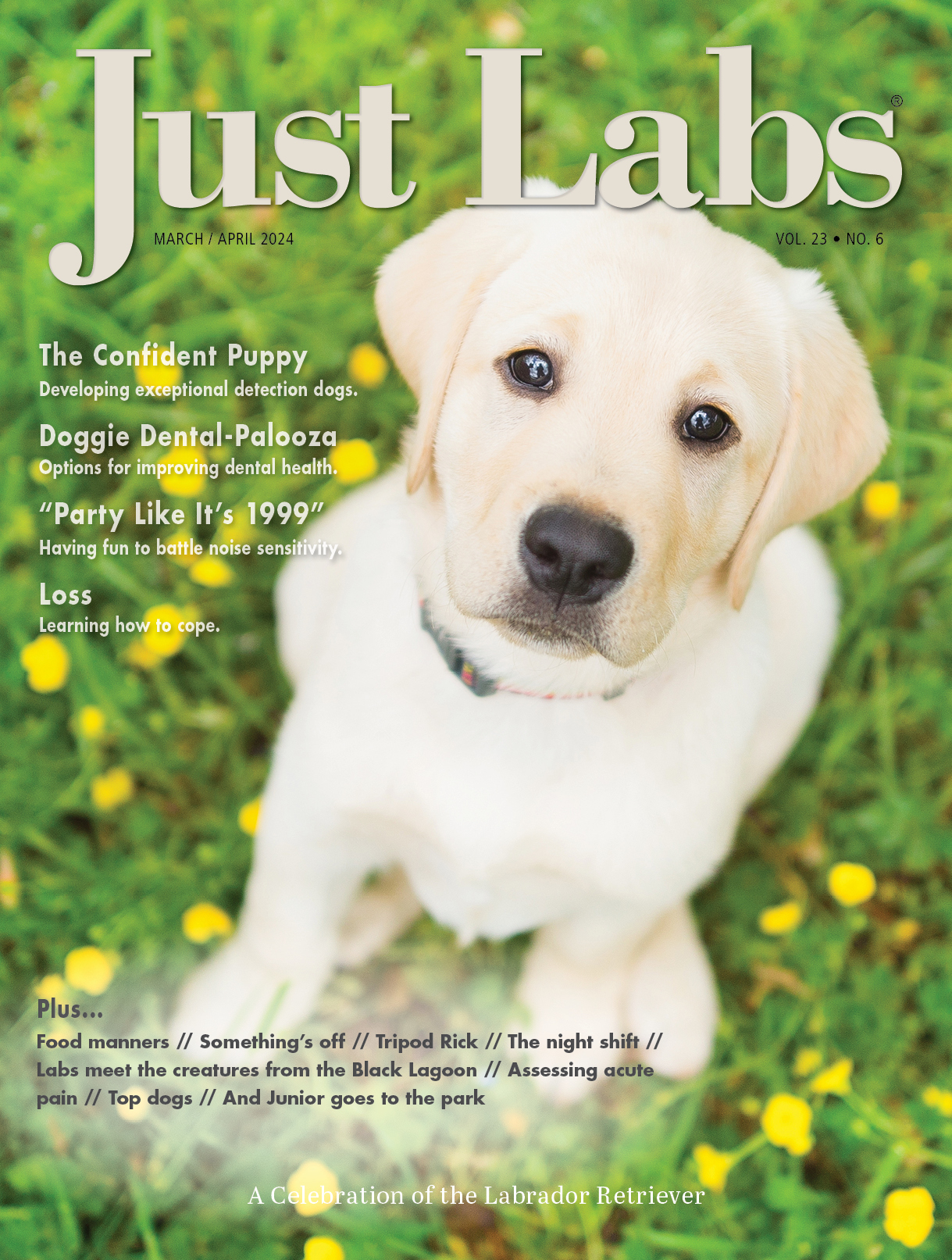 March April 2024 - Just Labs Magazine