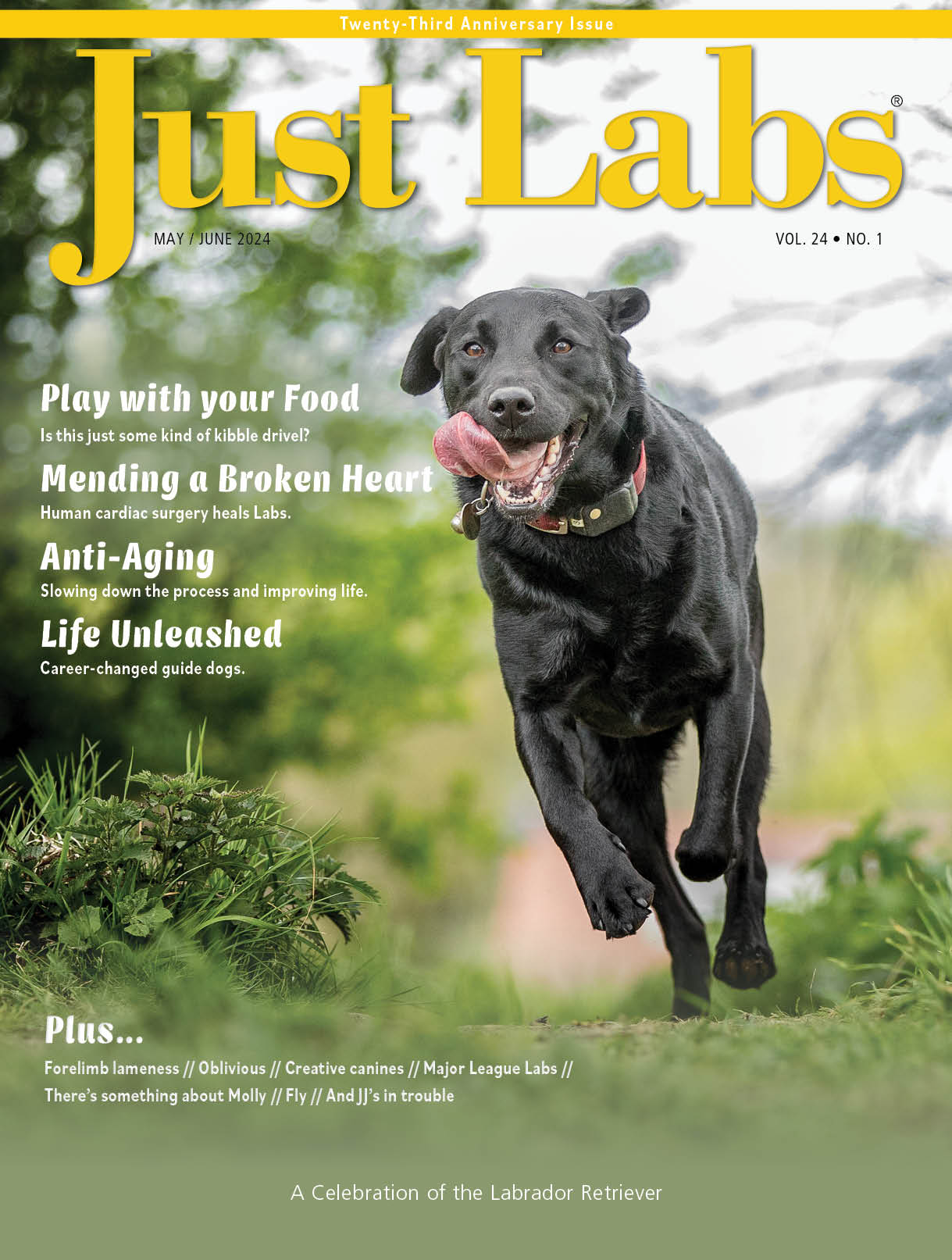 Home - Just Labs Magazine