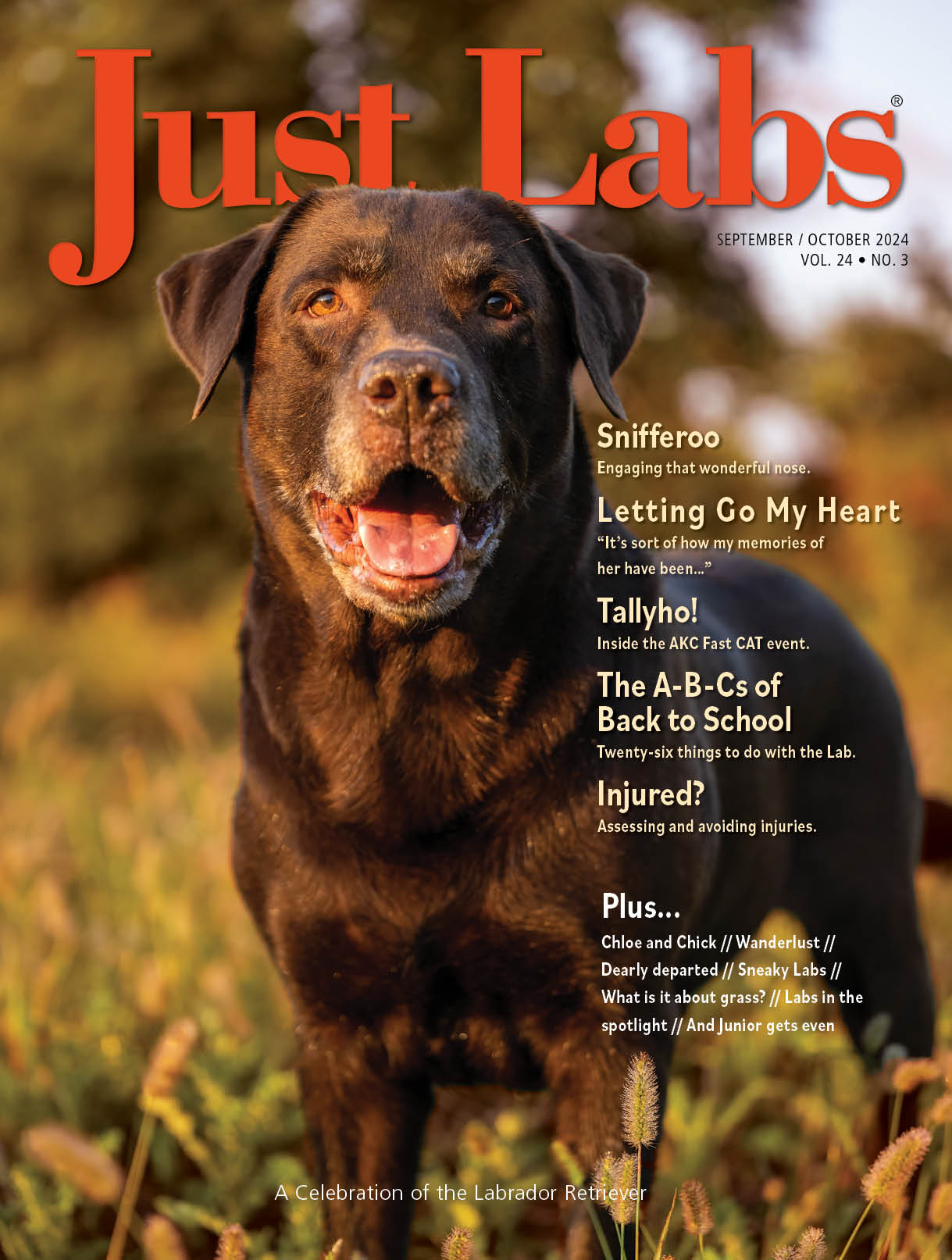 Home - Just Labs Magazine