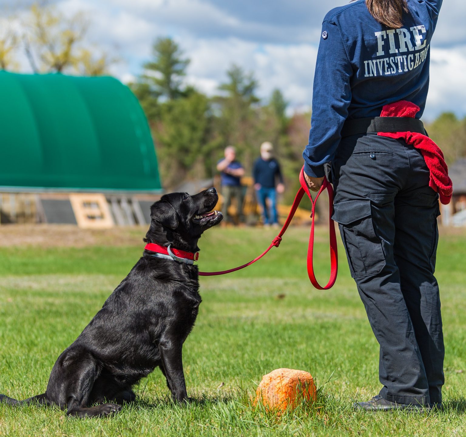 In Their Debt: Fire Dog Jo Jo - Just Labs Magazine