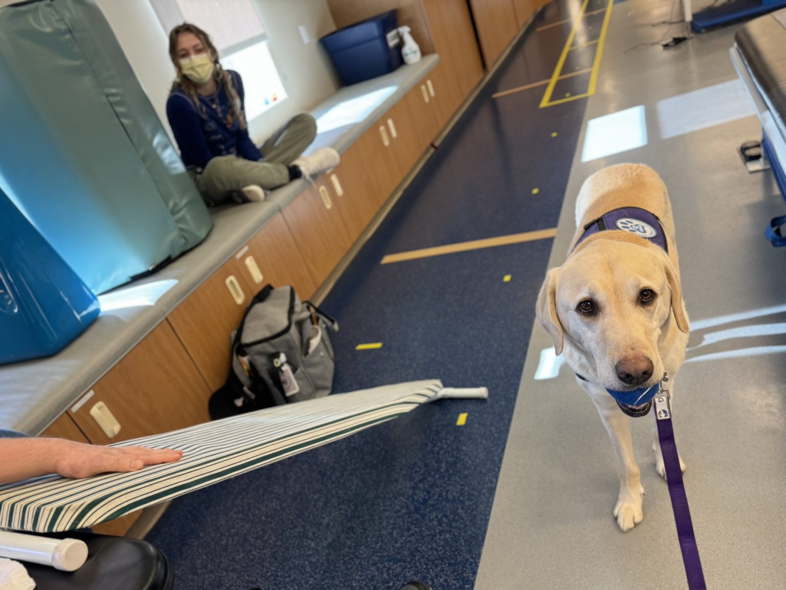 In Their Debt: Heroic Hercules - Just Labs Magazine