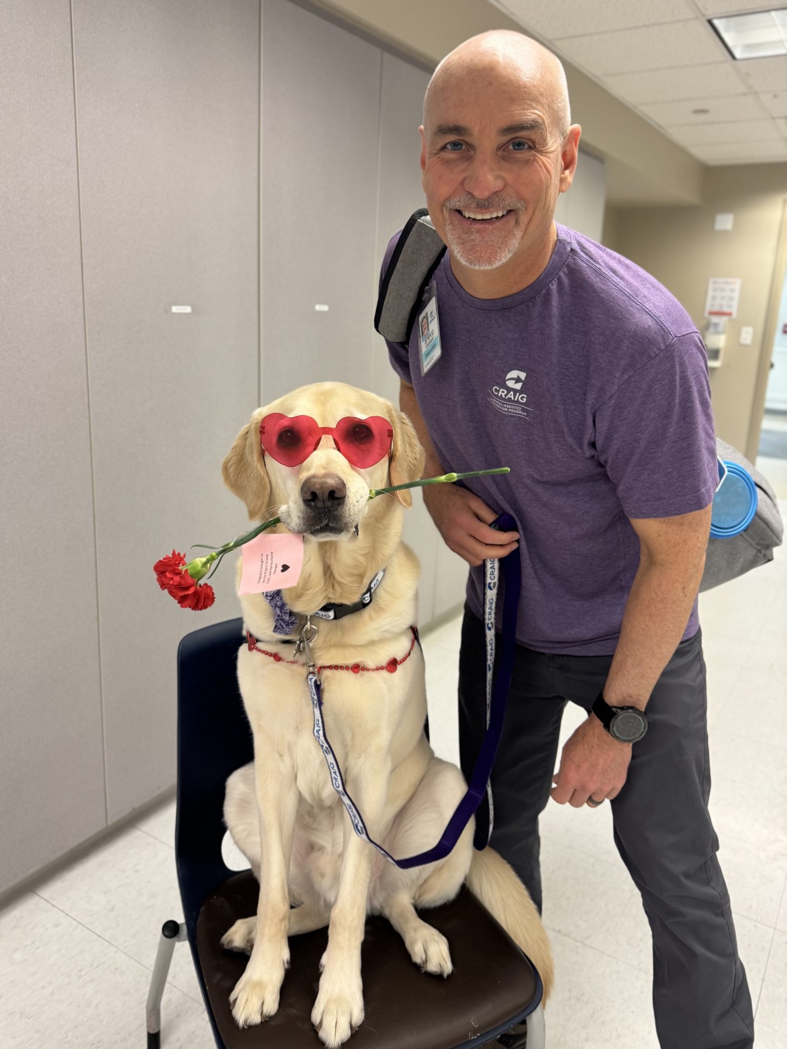 In Their Debt: Heroic Hercules - Just Labs Magazine