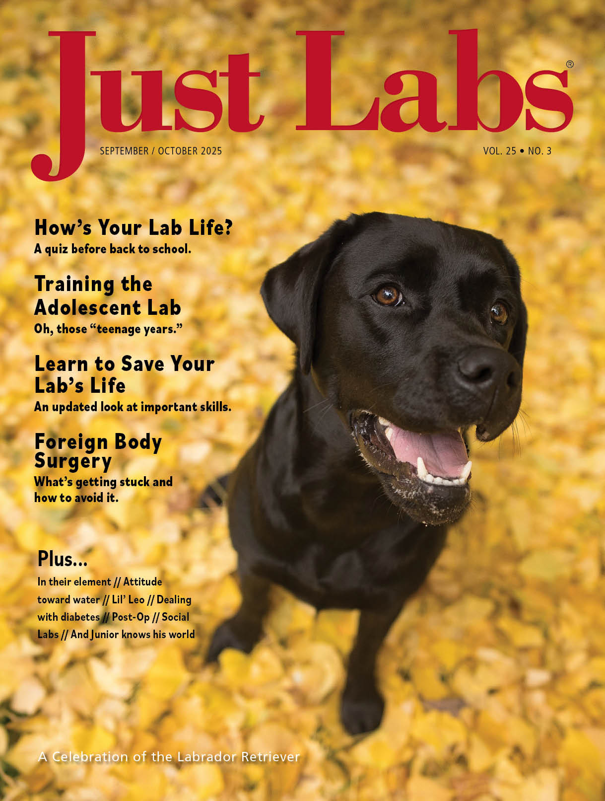 Home - Just Labs Magazine