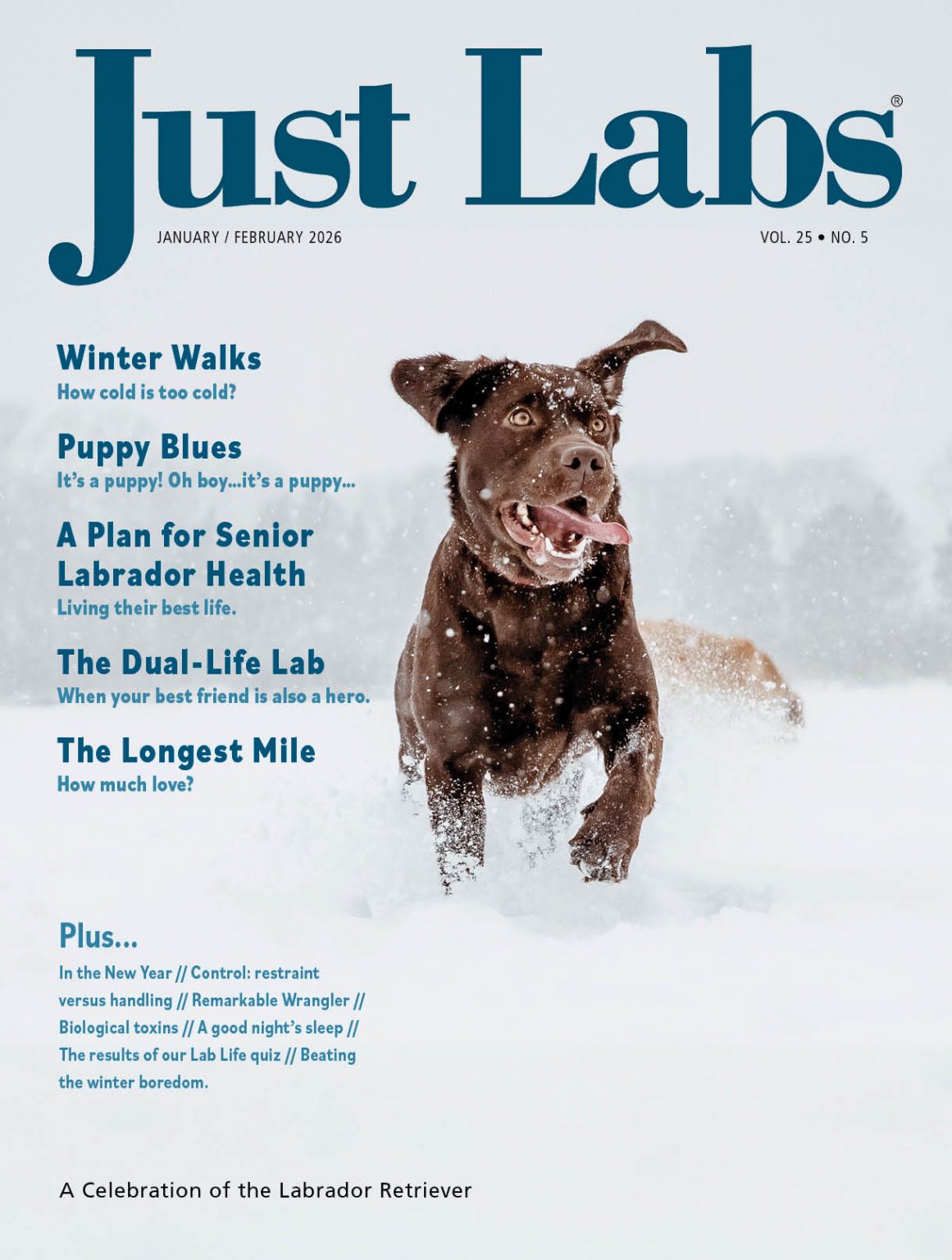 January/February 2026 - Just Labs Magazine