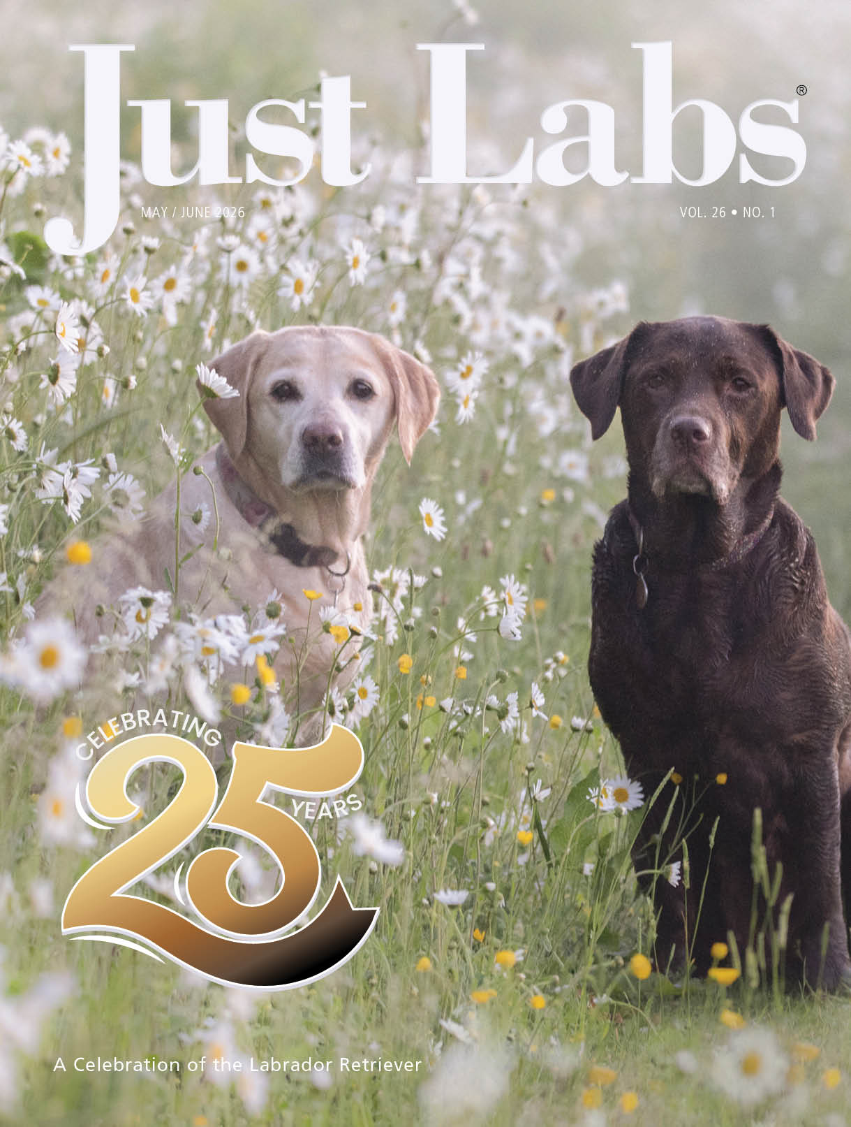 Home - Just Labs Magazine